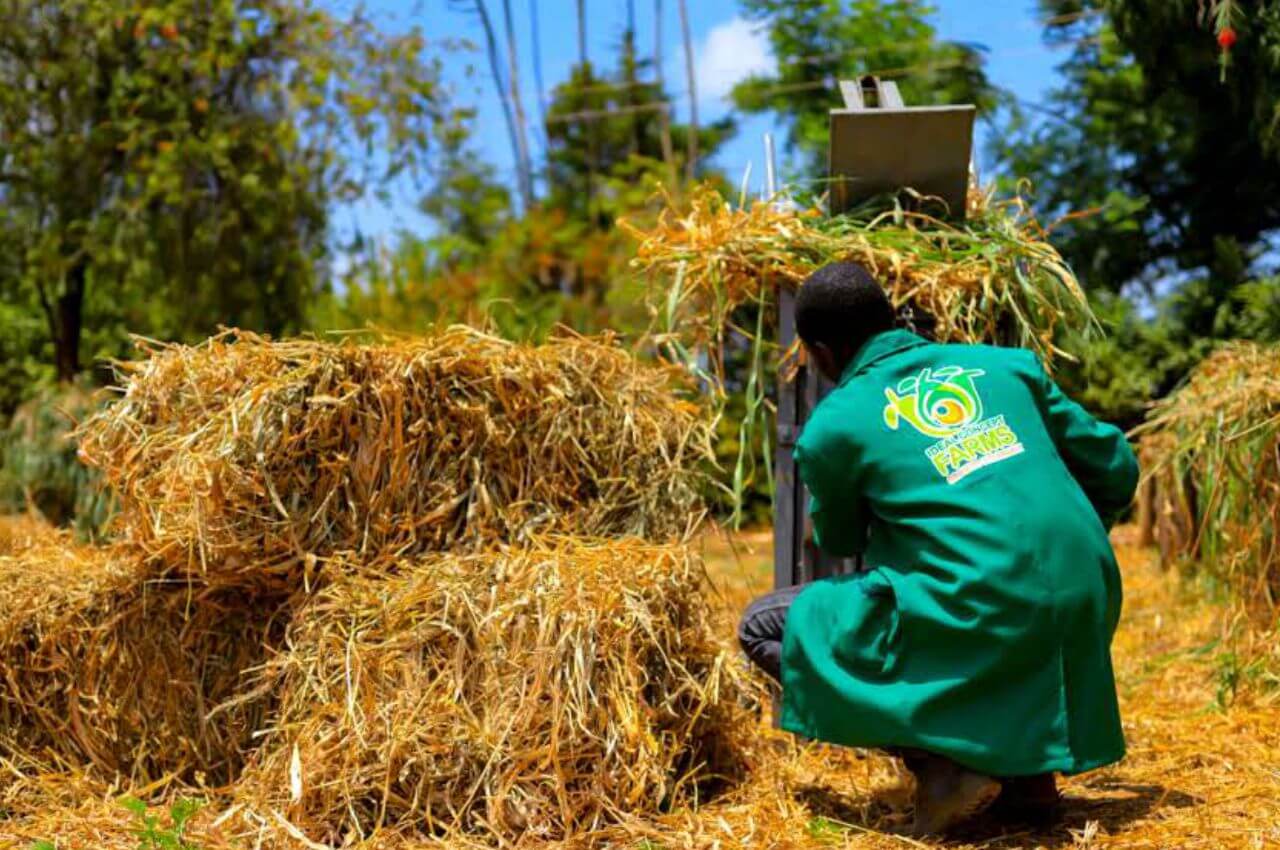 ICF - Agribusiness Redefined